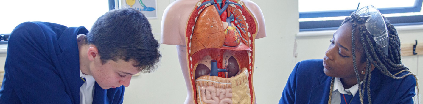 Pakefield High School - Clarion Corvus Trust - Teaching & Learning at ...